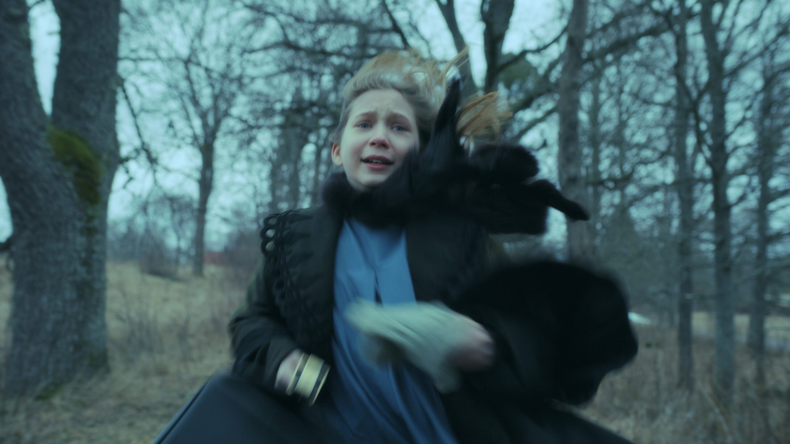 Projects - Aurora Studios